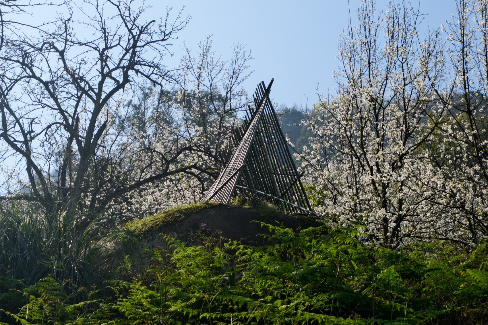 Field Project — Petal Pavilion: BUZZY SUNNY in Pear Blossom Village by ...