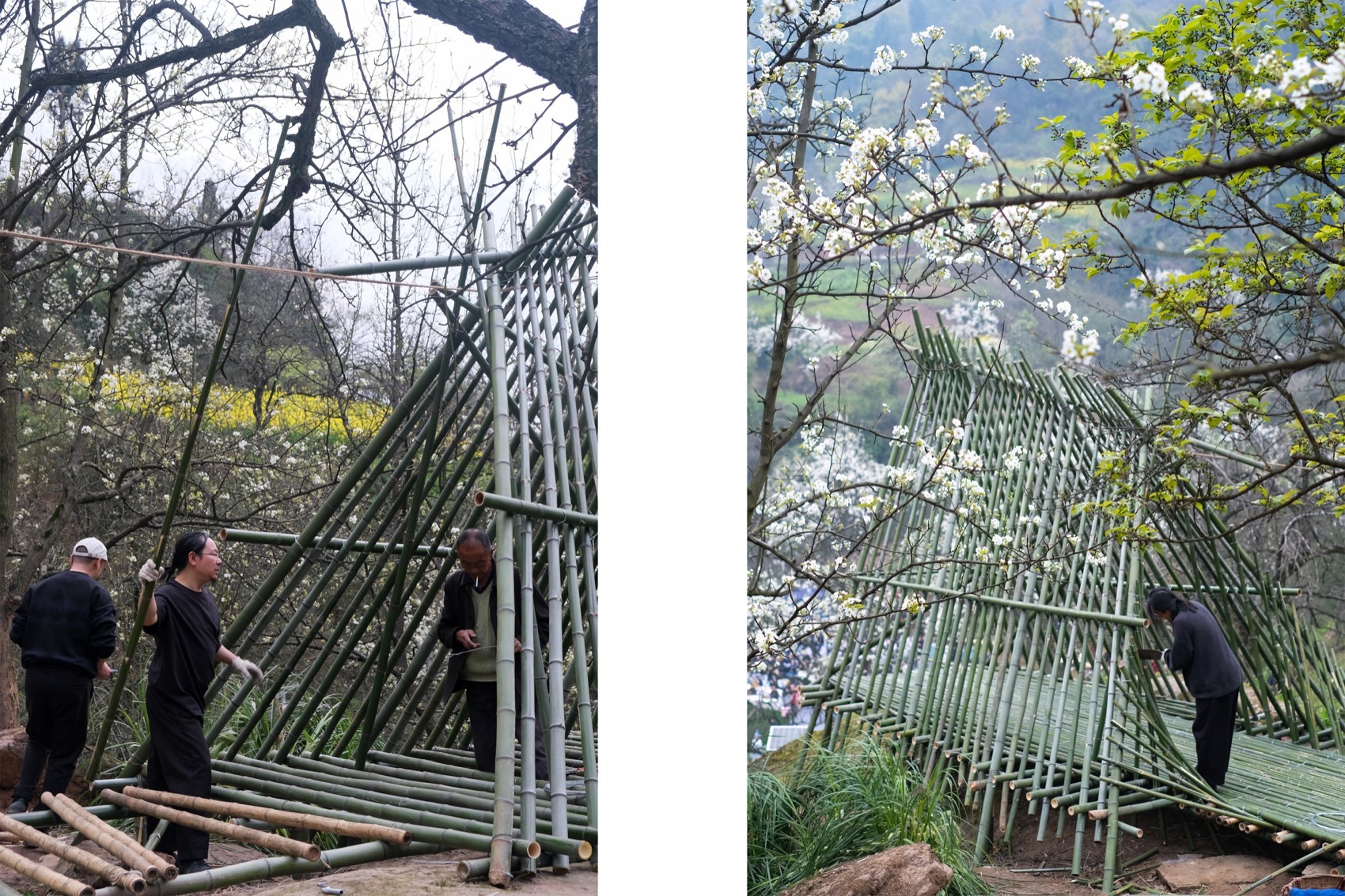 Field Project — Petal Pavilion: BUZZY SUNNY in Pear Blossom Village by ...