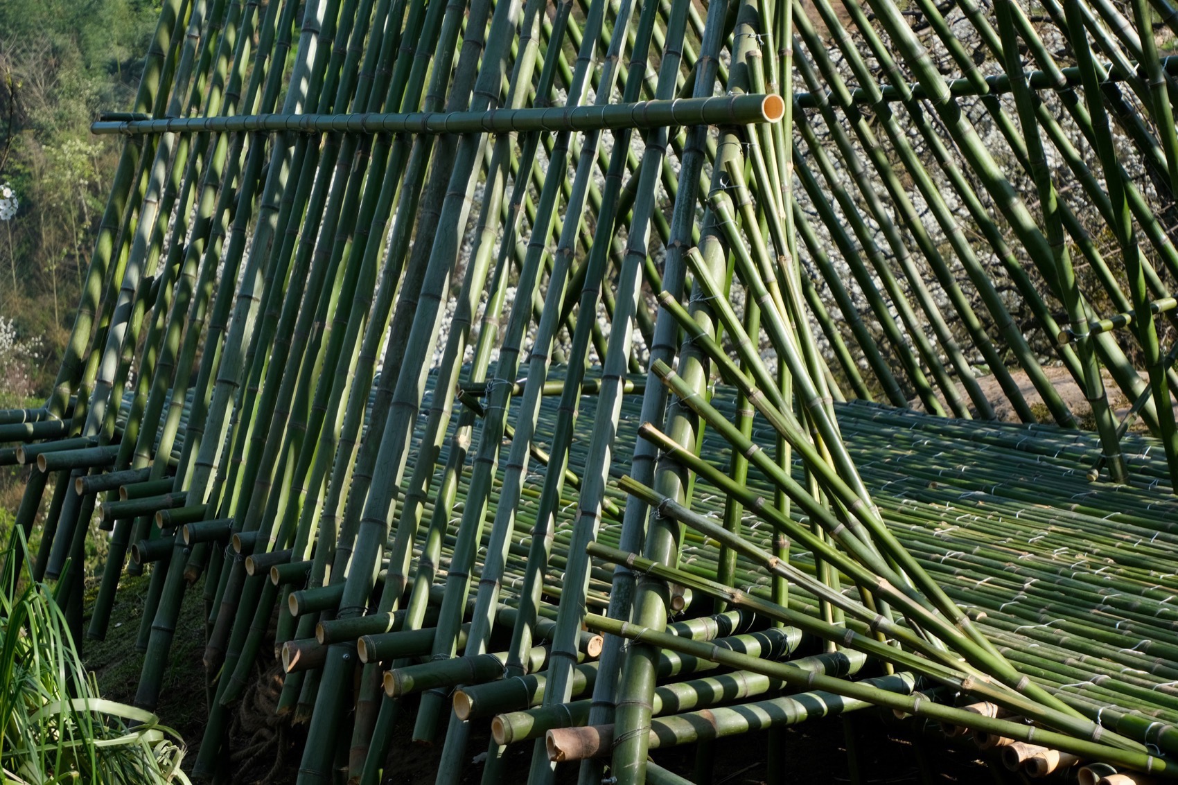 Field Project — Petal Pavilion: BUZZY SUNNY in Pear Blossom Village by ...