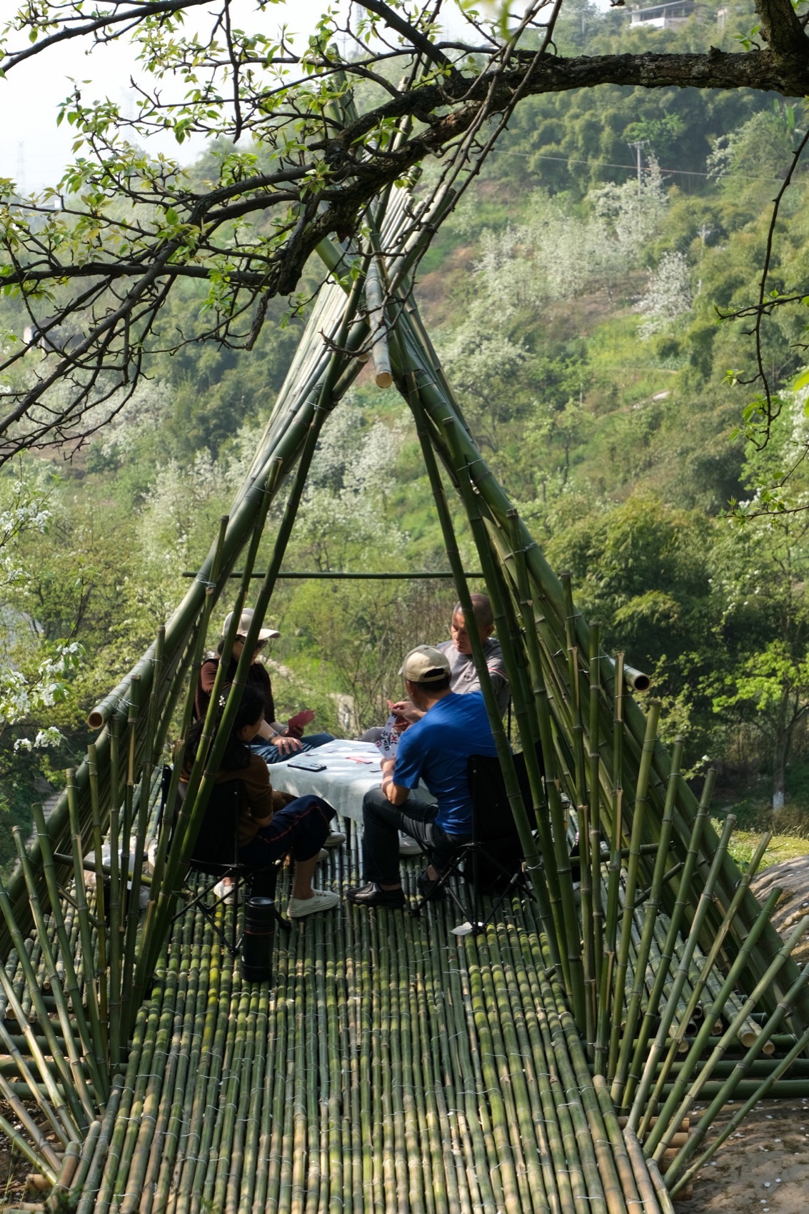 Field Project — Petal Pavilion: BUZZY SUNNY in Pear Blossom Village by ...