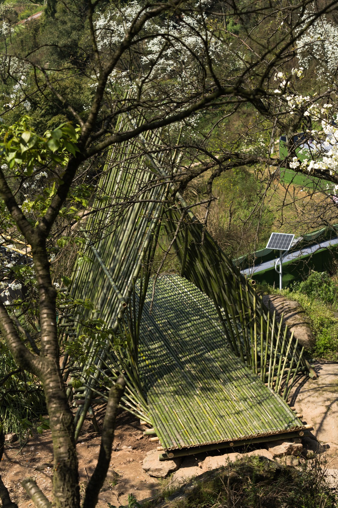 Field Project — Petal Pavilion: BUZZY SUNNY in Pear Blossom Village by ...