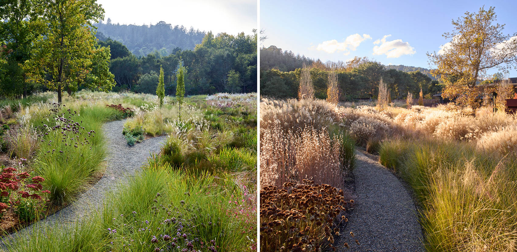 2024 ASLA RESIDENTIAL DESIGN AWARD OF HONOR: Uliveto by Surfacedesign, Inc. - 谷德设计网