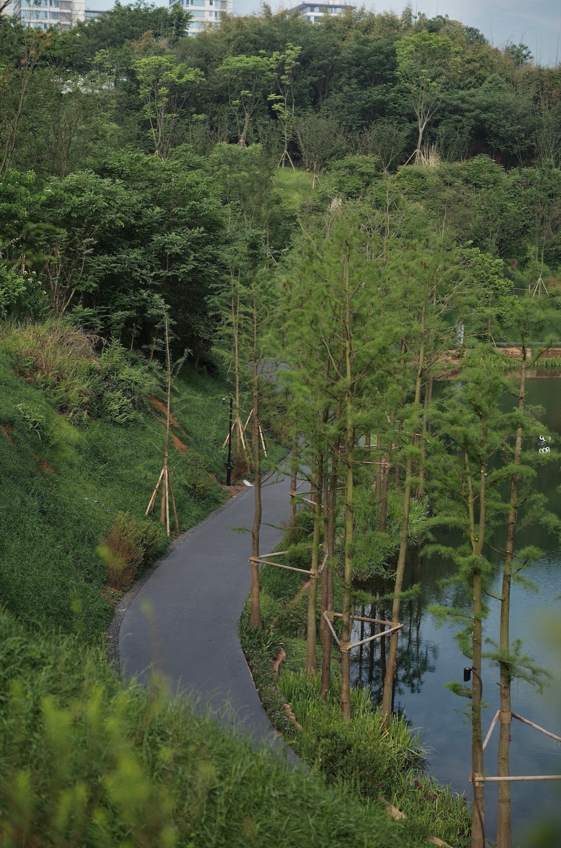 Green Field Park by Sichuan Ledao Landscape Design Co., Ltd - 谷德设计网