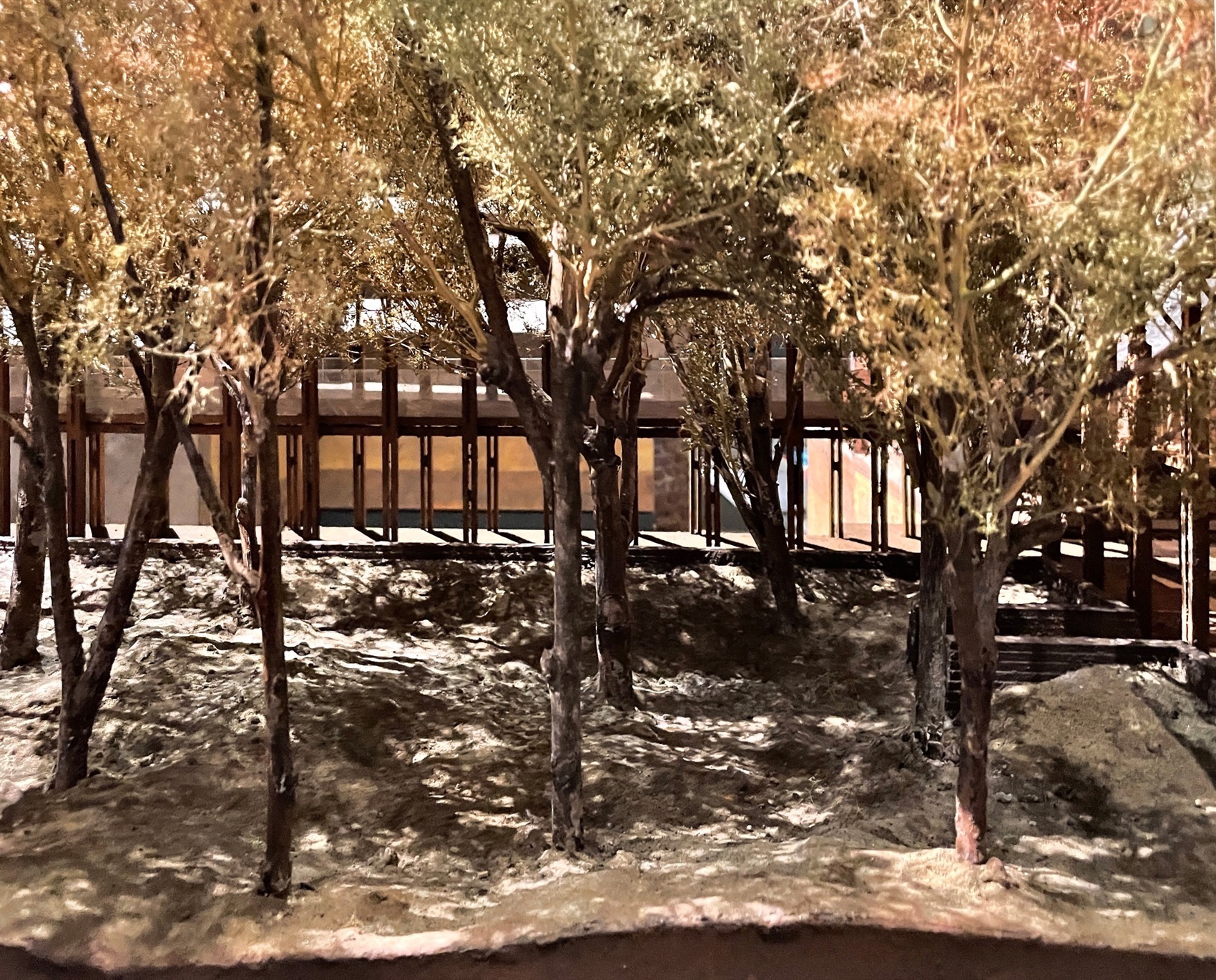 Revival of Ordinary Trees by Vector Architect - 谷德设计网