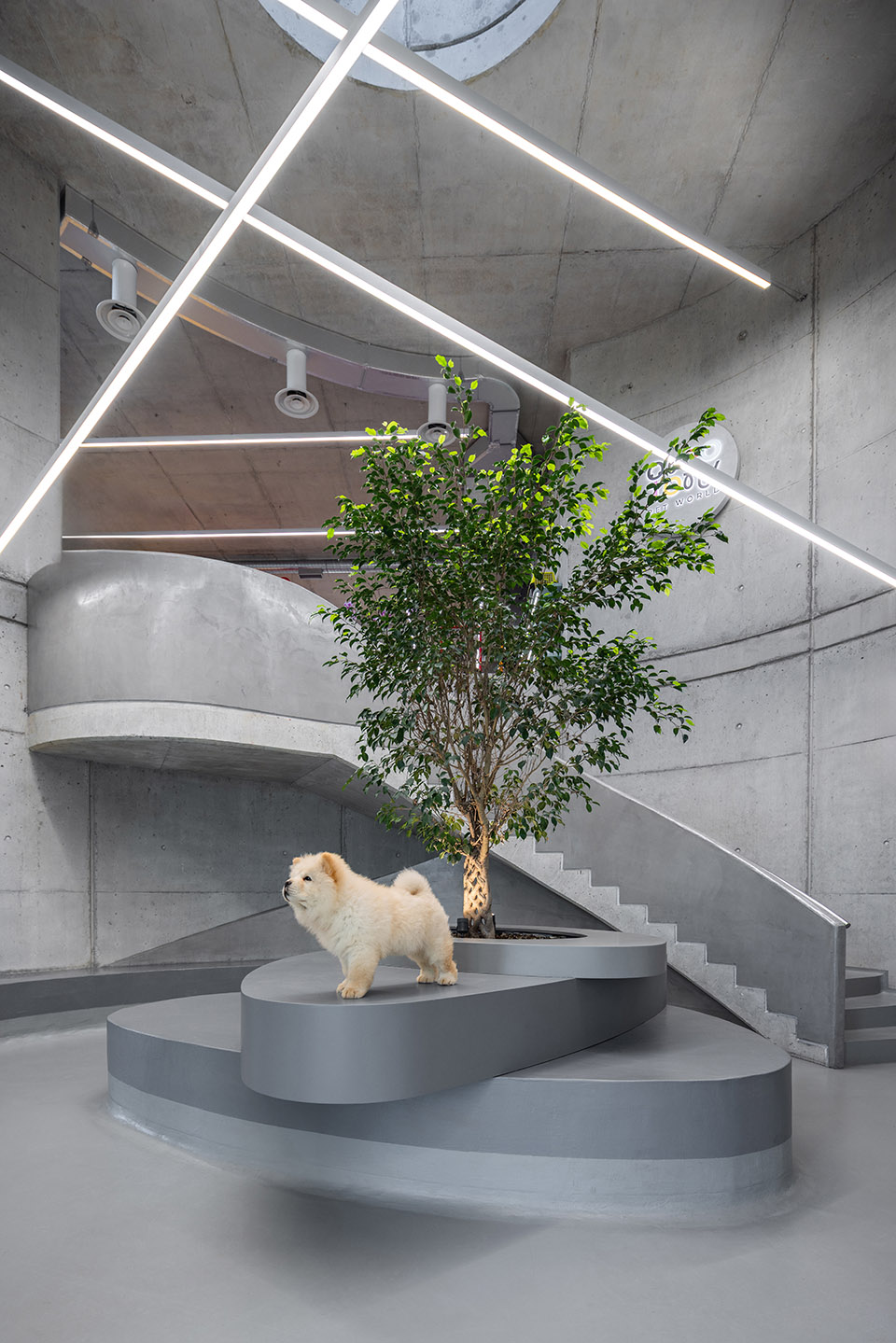 Veterinary Hospital by Davide Macullo Architects - 谷德设计网