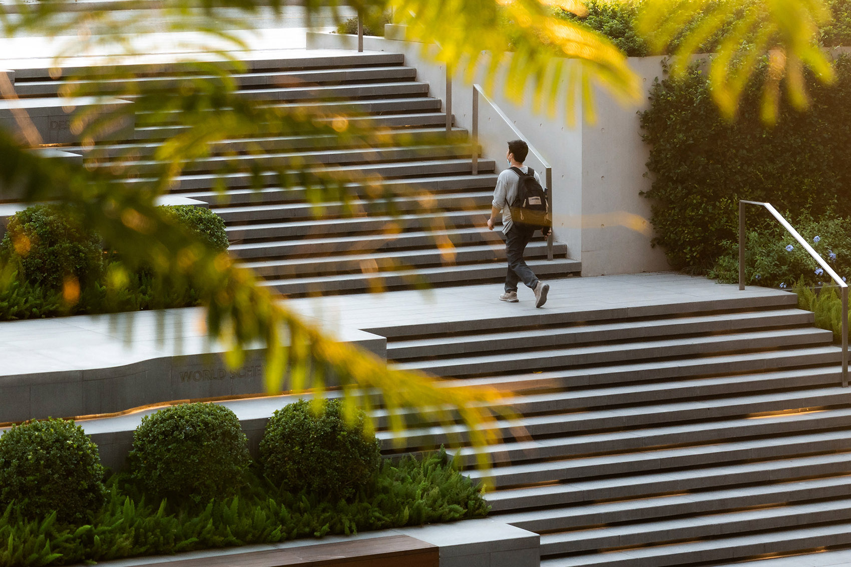 Shenzhen Longhua Design Headquarters Landscape Project Phase 1 by ...