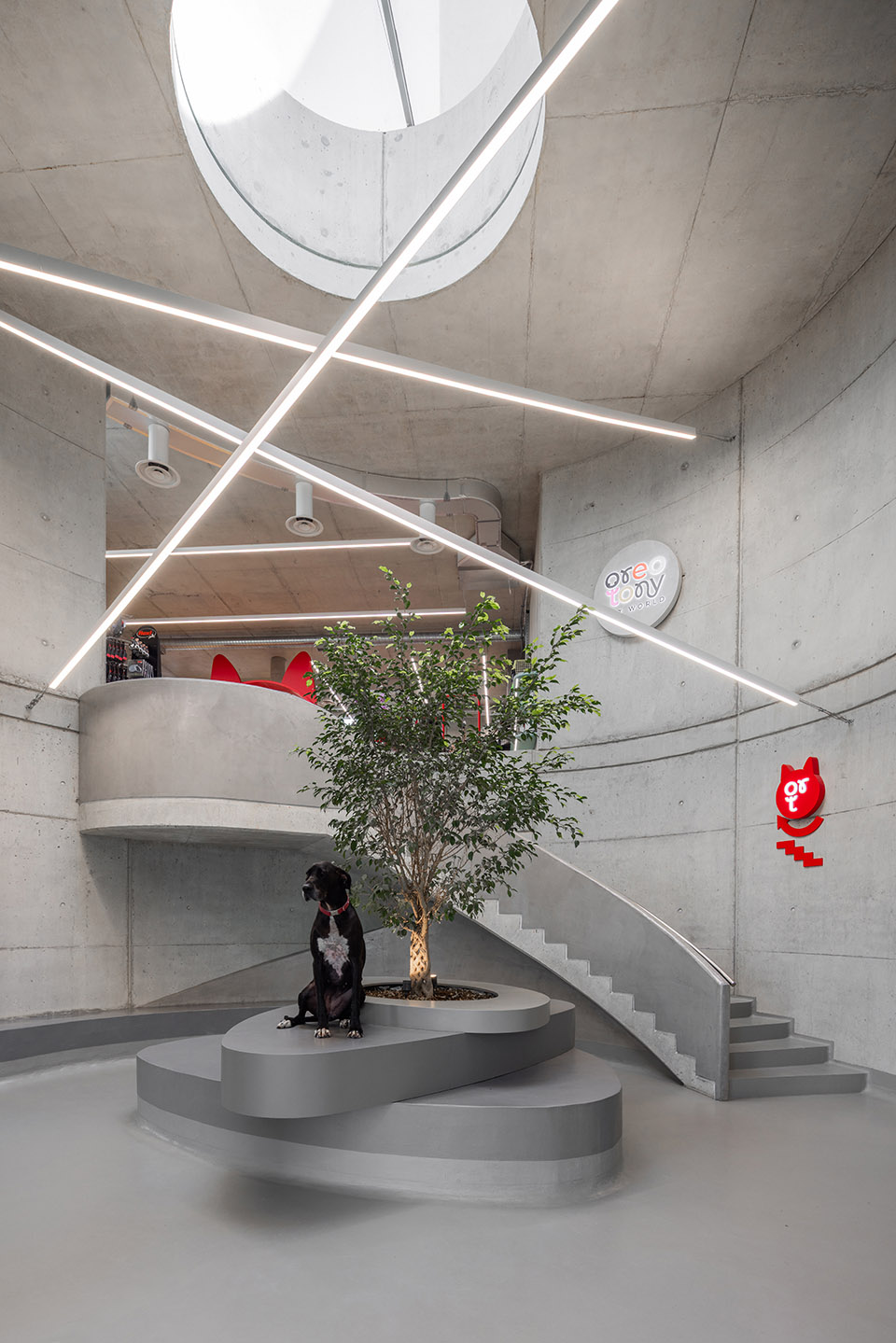 Veterinary Hospital by Davide Macullo Architects - 谷德设计网