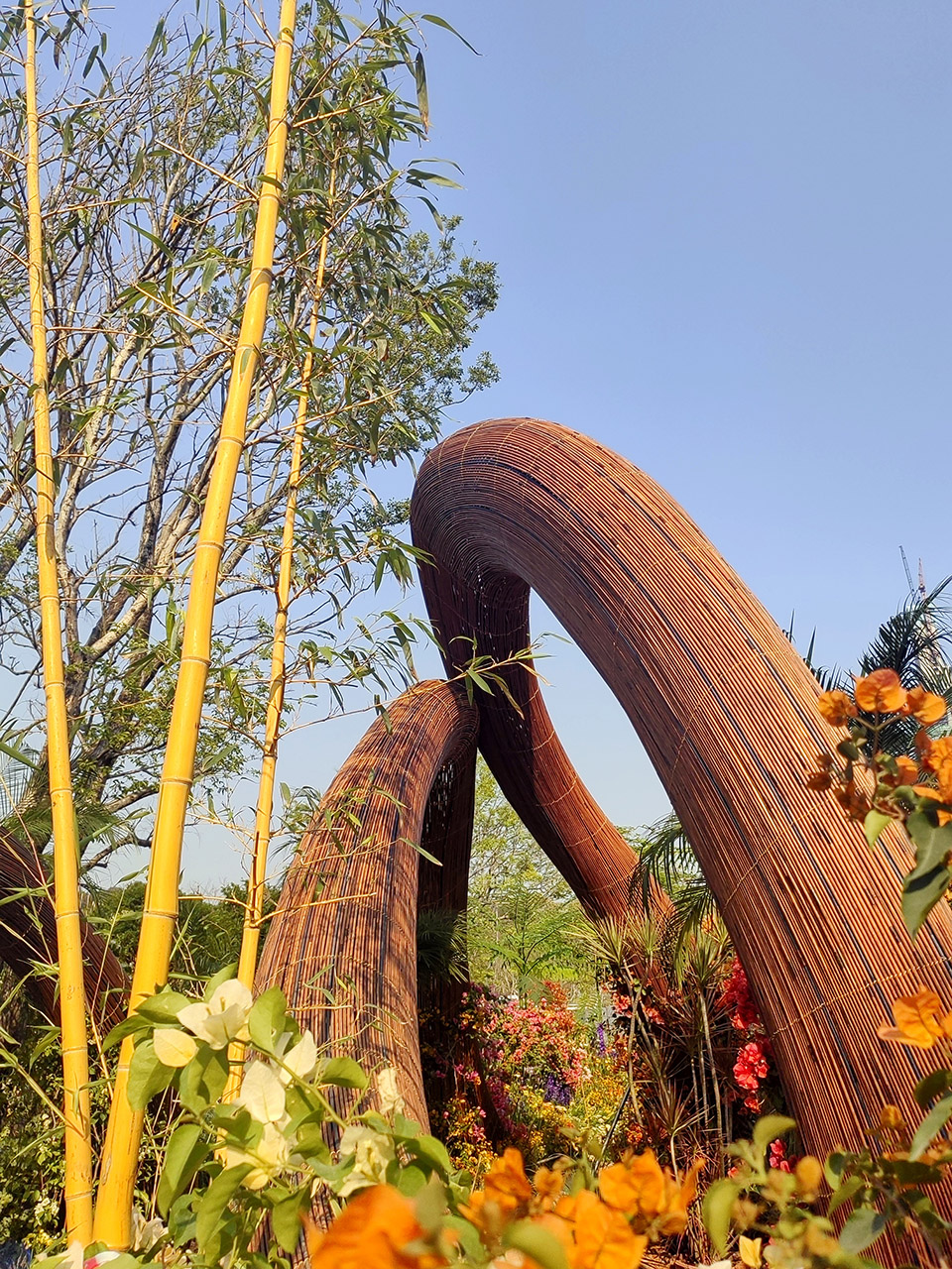 The “Bamboo Chain” in the Hyperlink Password Garden – Modern Bamboo ...