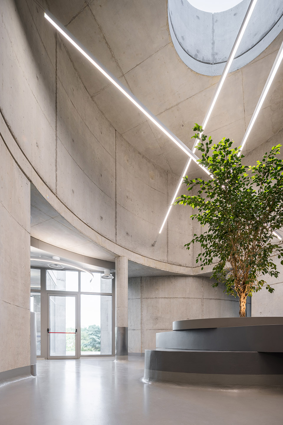 Veterinary Hospital by Davide Macullo Architects - 谷德设计网