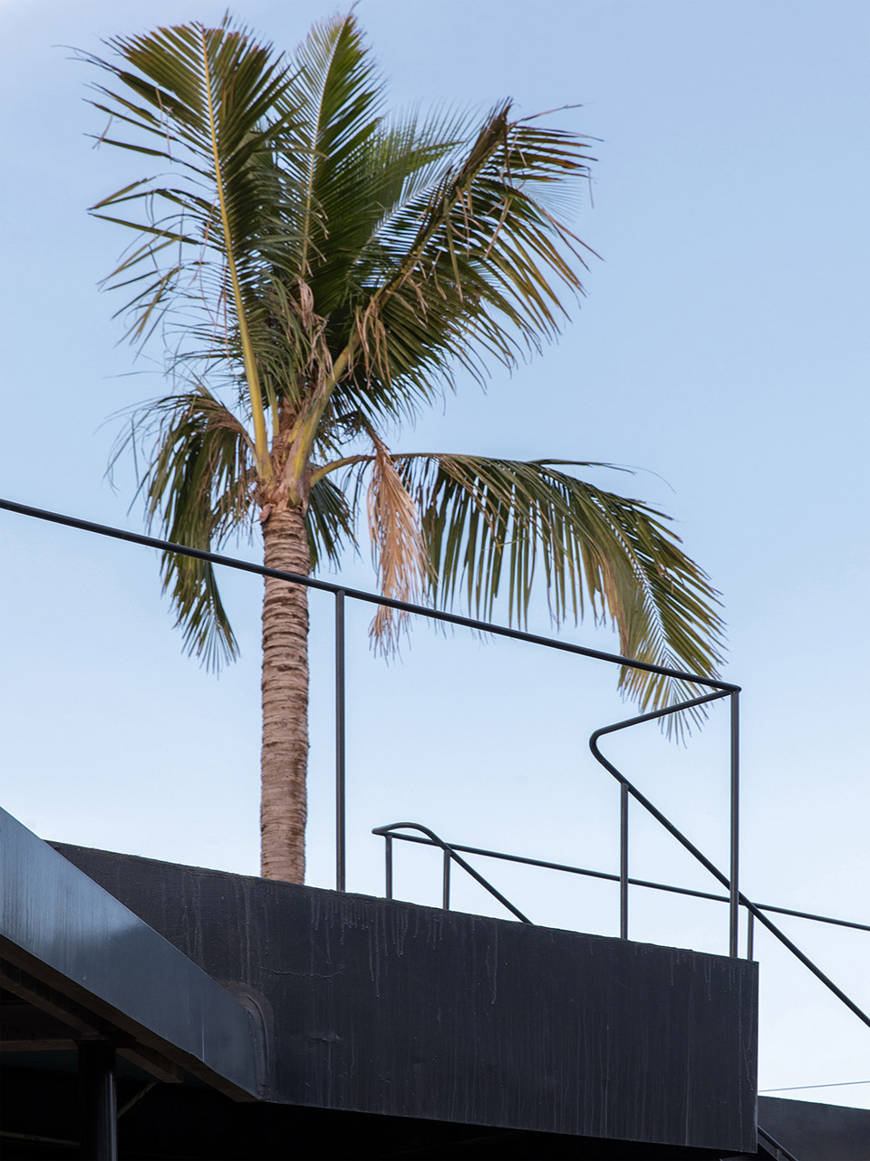 Earth-Hugging Duke Plaza by Edge Architects - 谷德设计网