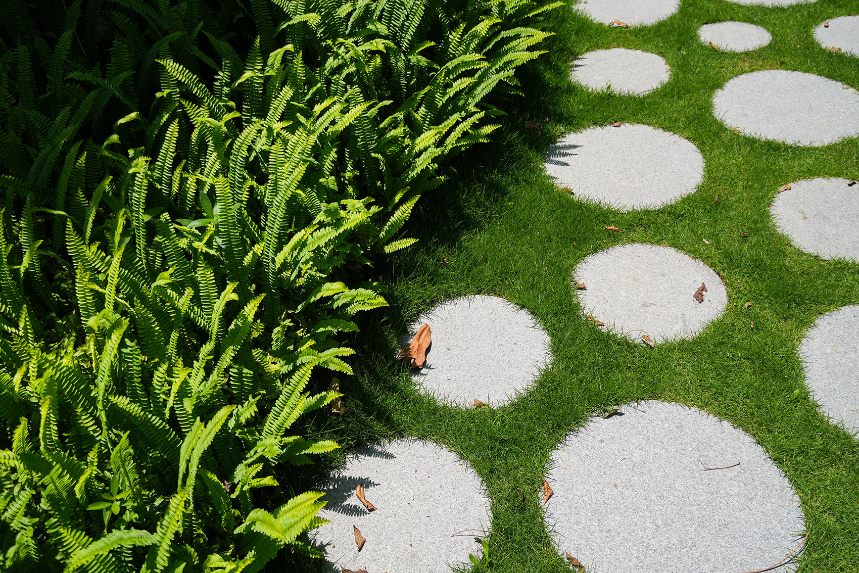 Haid Science Park by LOLA Landscape Architects - 谷德设计网