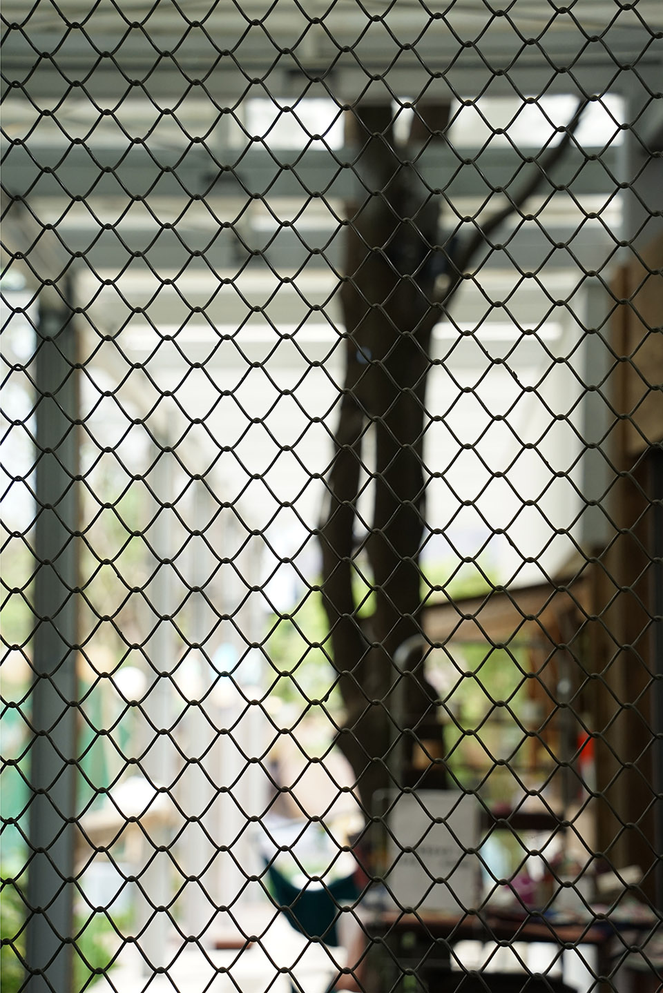 Luxe Lake CPI Island Phase-II by vari architects - 谷德设计网