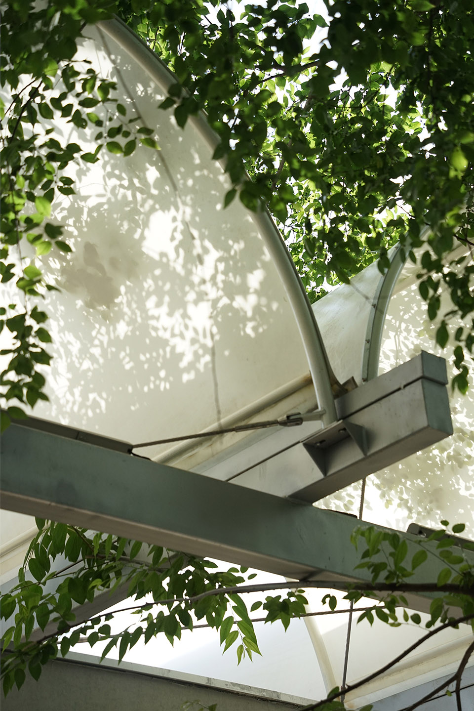 Luxe Lake CPI Island Phase-II by vari architects - 谷德设计网