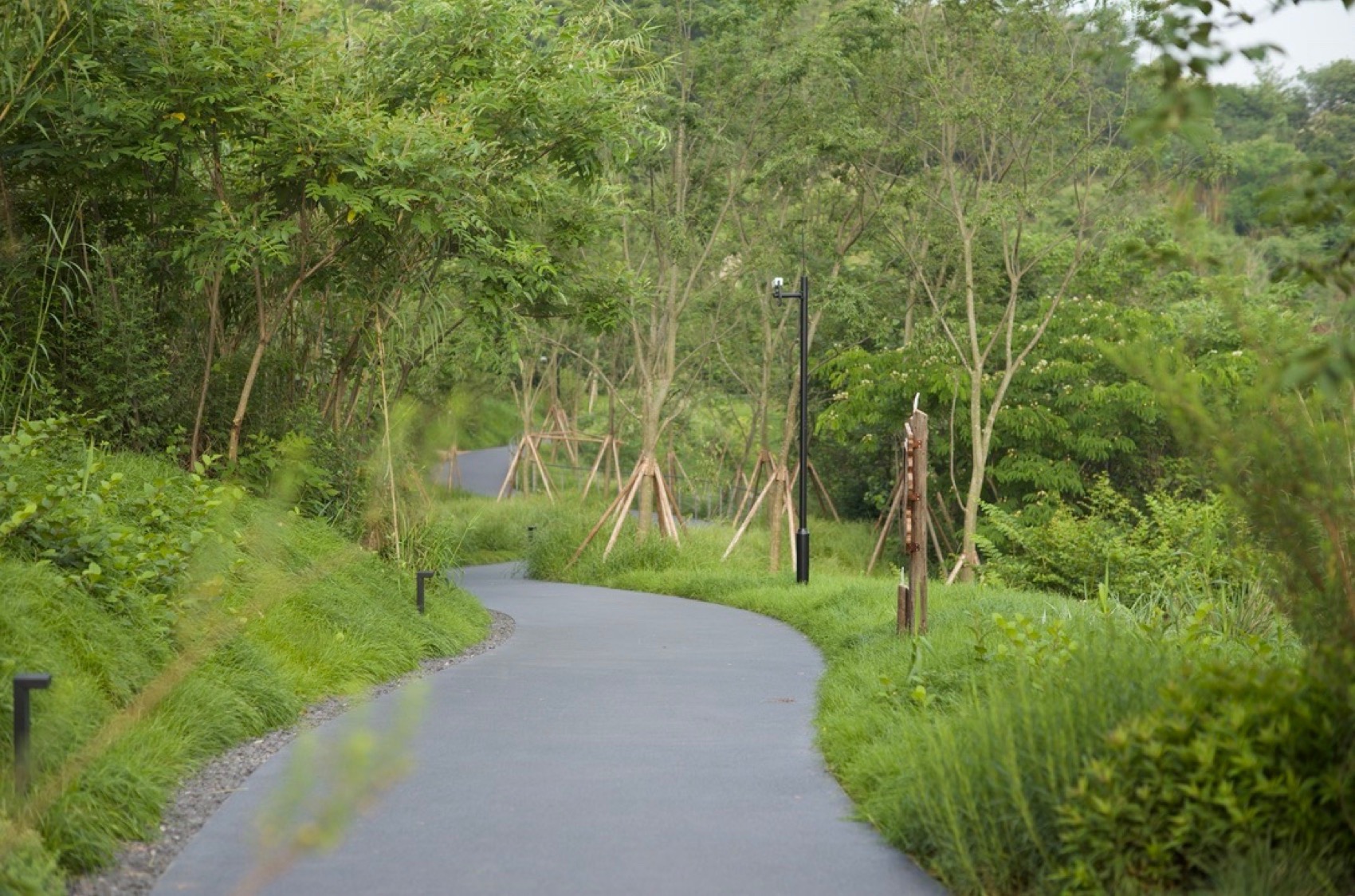 Green Field Park by Sichuan Ledao Landscape Design Co., Ltd - 谷德设计网