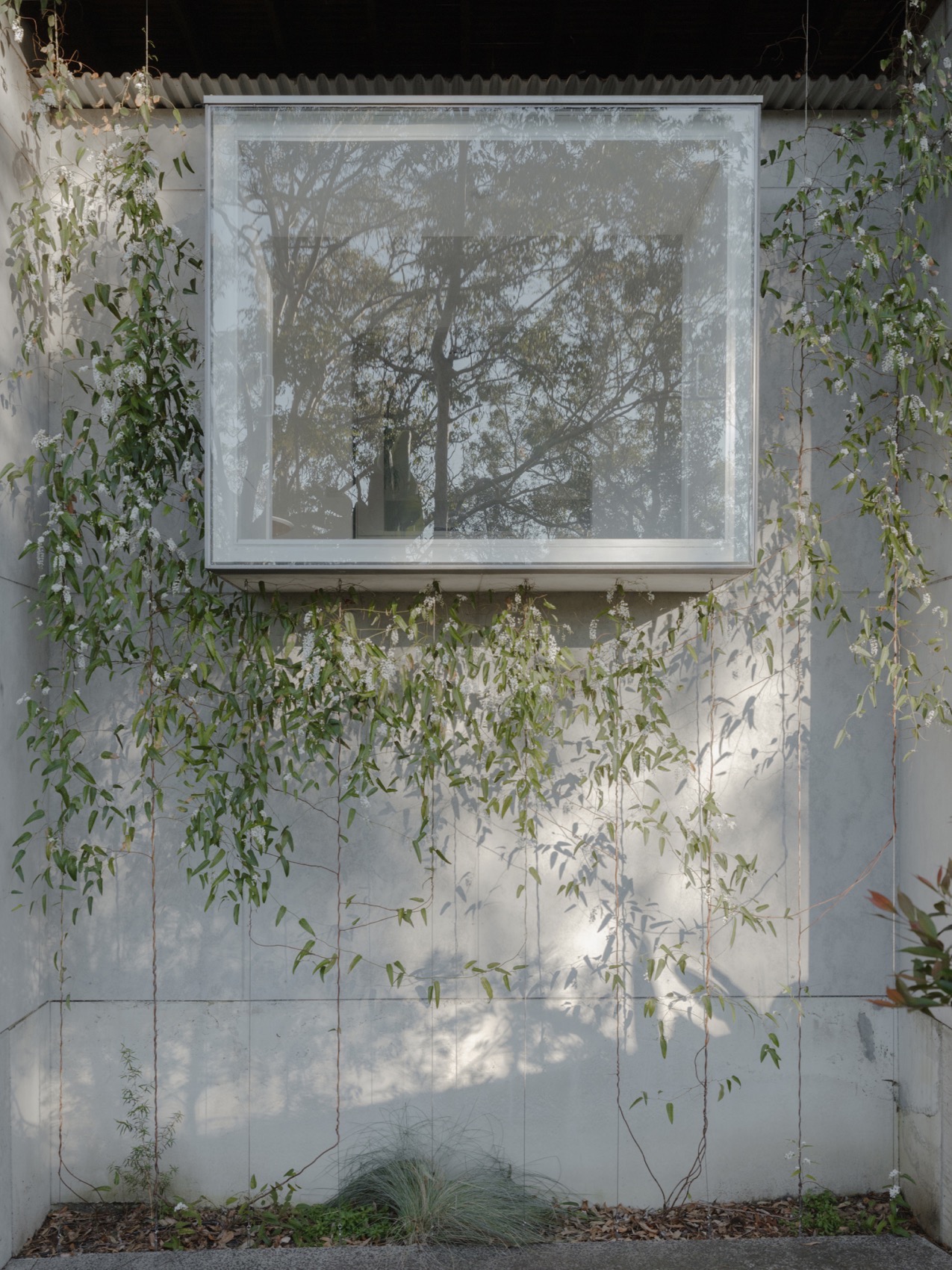 Window, window, window House by PANOV — SCOTT - 谷德设计网