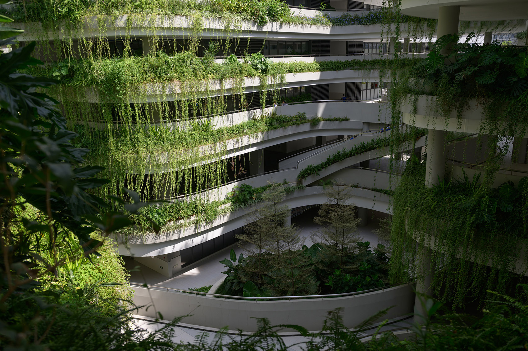 Infinity Garden by Atelier Scale - 谷德设计网