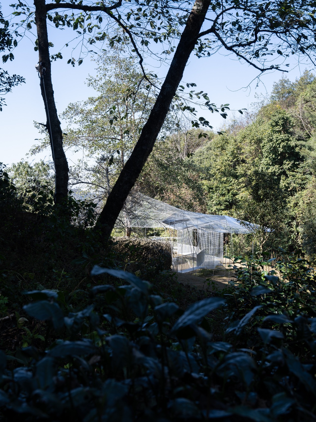 Dali Wuliang Mountain’s Phoenix Feather Tea Pavilion by Kong Xiangwei ...