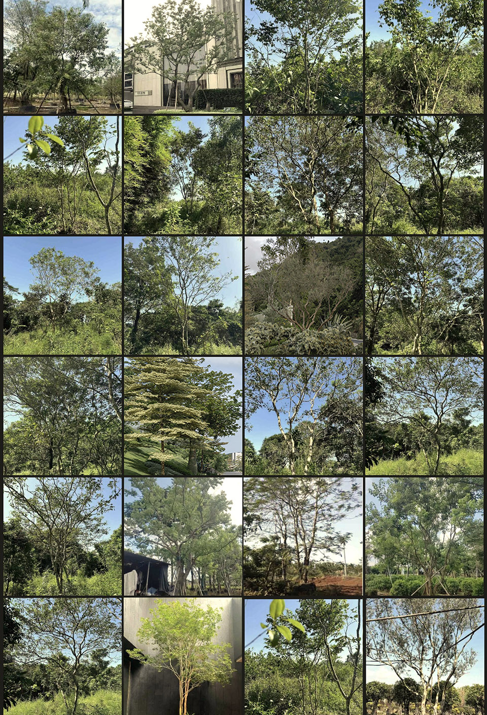 Aranya Phase III Resort Mountain Residence Landscape by Line+ - 谷德设计网