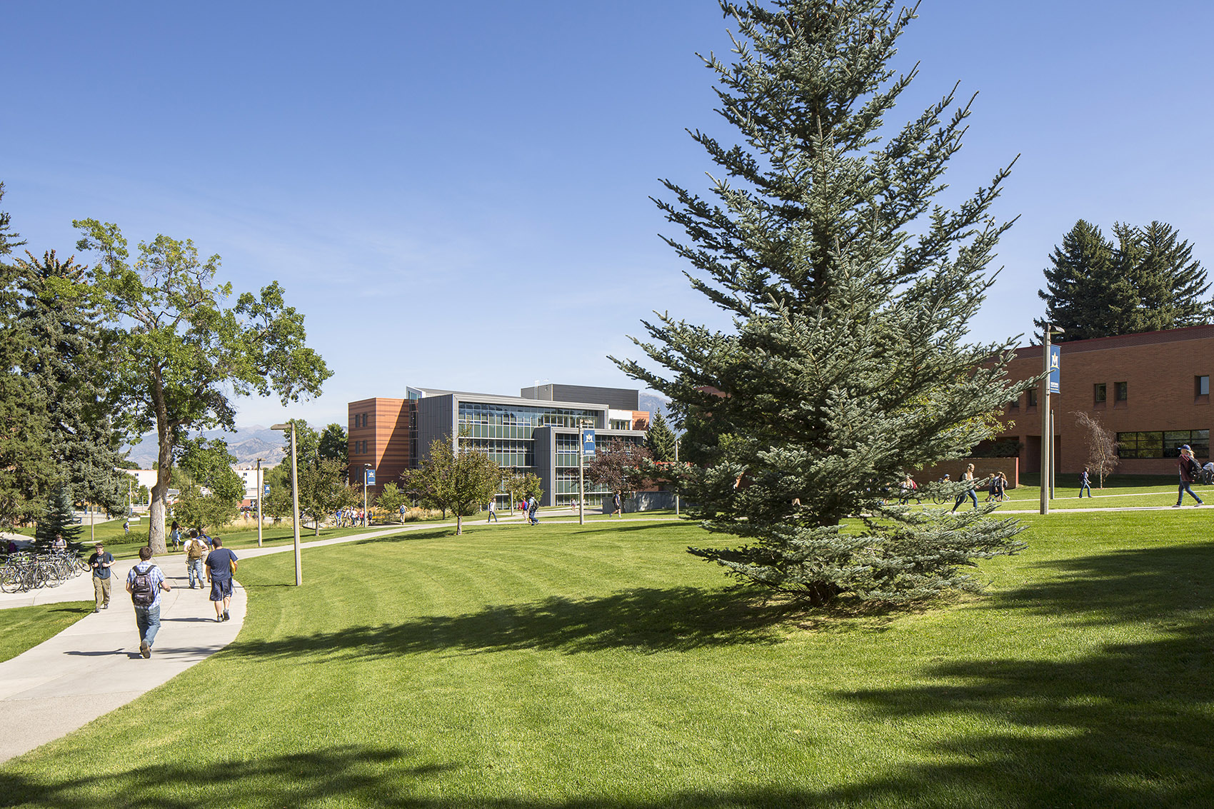 MSU Jake Jabs College of Business & Entrepreneurship by Hennebery Eddy ...