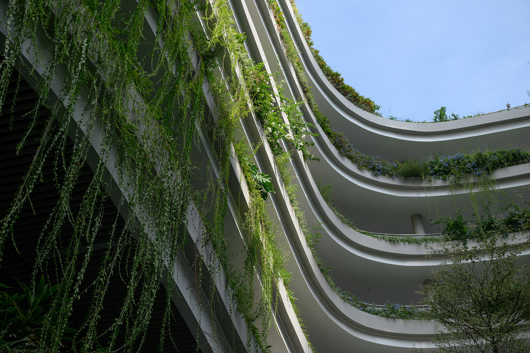 Infinity Garden by Atelier Scale - 谷德设计网