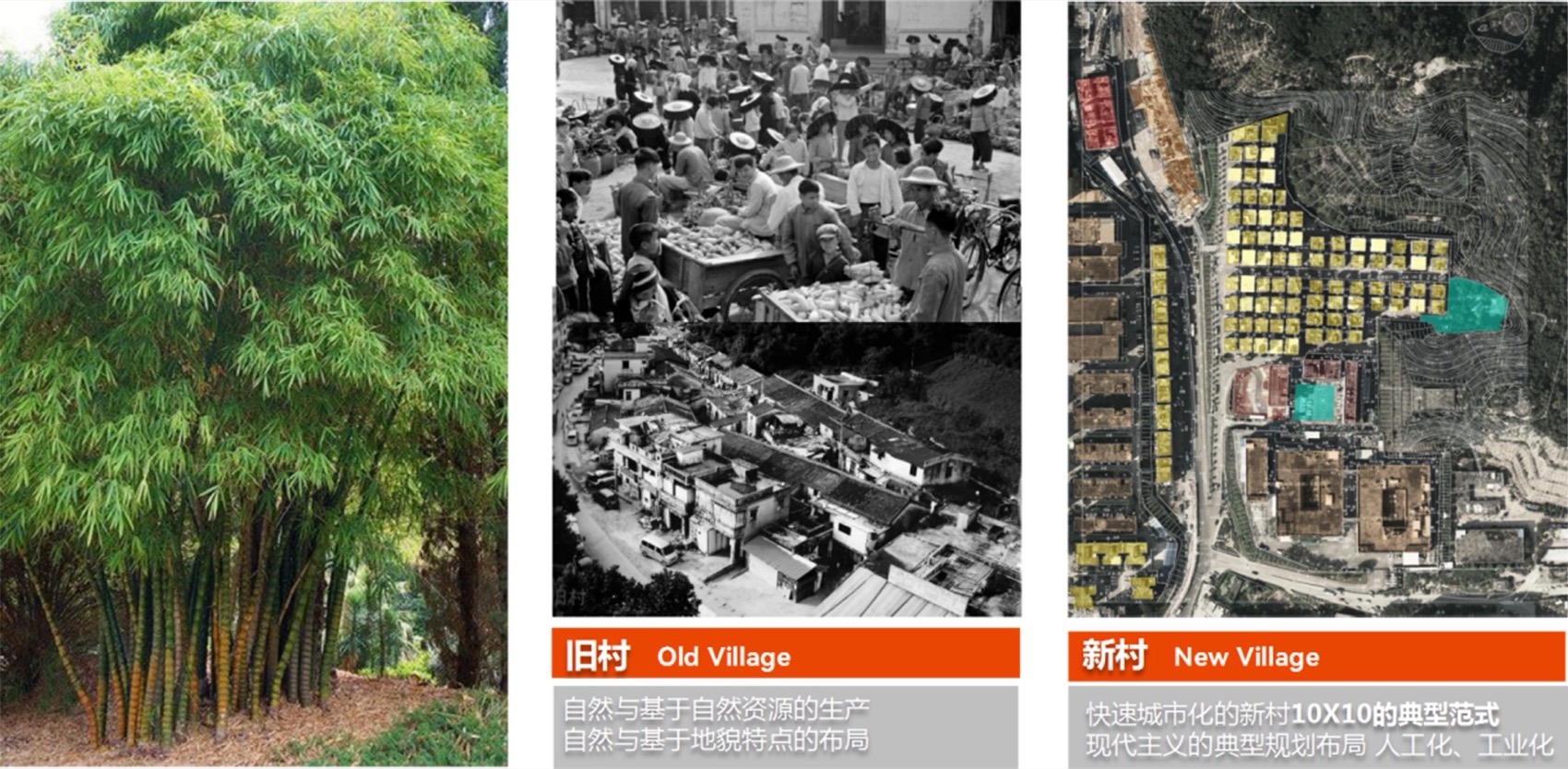 Liangmao Village Renovation, Shenzhen by NODE Architecture & Urbanism ...