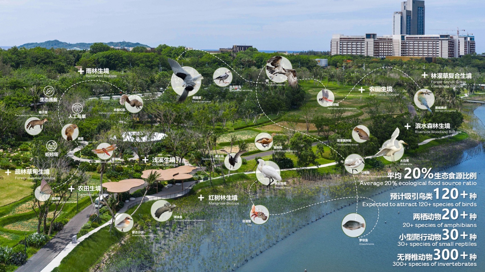 Landscape Design of Haitang River Ecological Park Phase II by LOLA ...