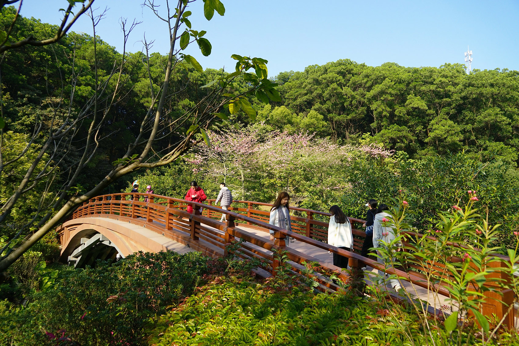 Comprehensive Landscape Design for Guangzhou Yunxi Botanical Garden’s ...