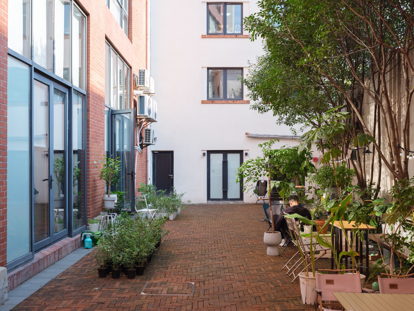 Paddy Lab by BE DESIGN & CONSULTANCY - 谷德设计网