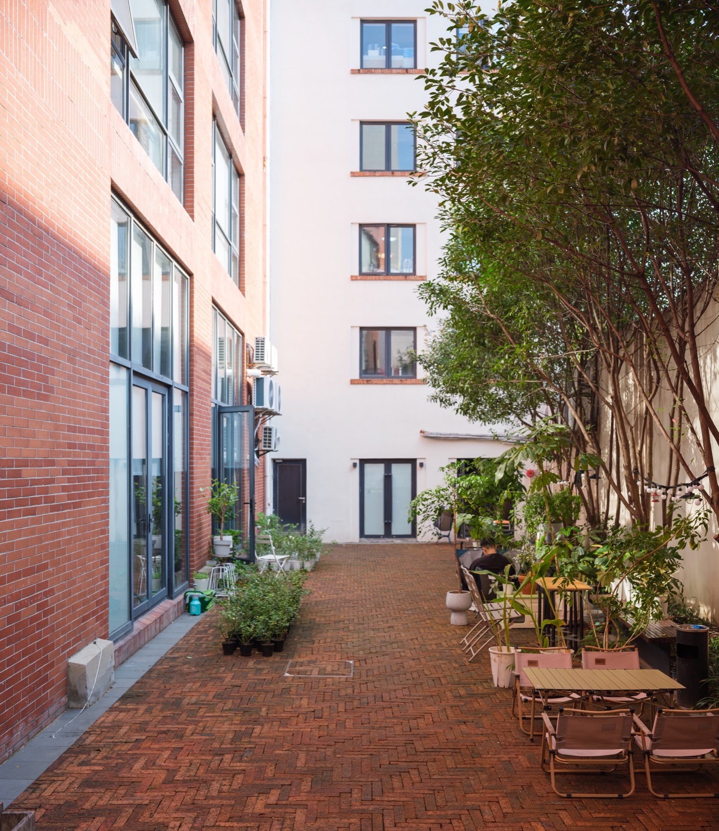 Paddy Lab by BE DESIGN & CONSULTANCY - 谷德设计网