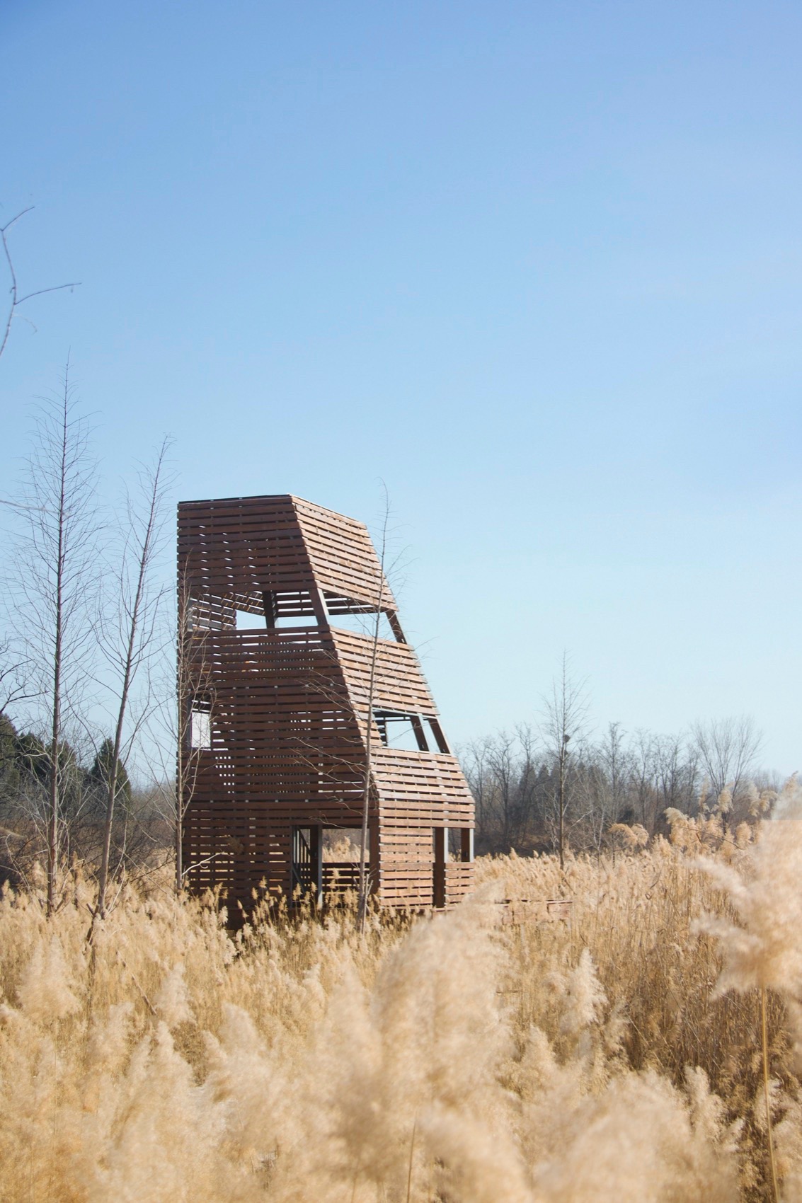 Reed Pavilion, Bird-watching Tower –Park service building series in ...