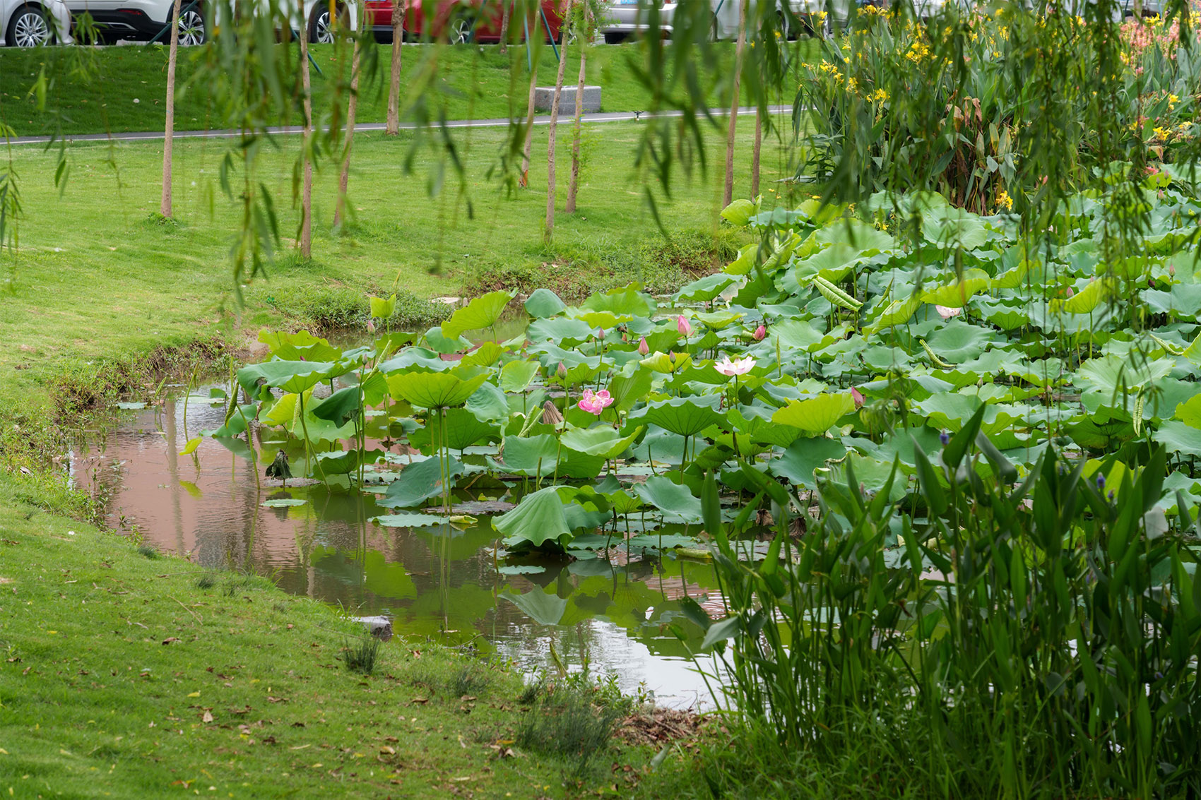 The Beijiao Community Nantang Enhancement Project by REMAC TY - 谷德设计网