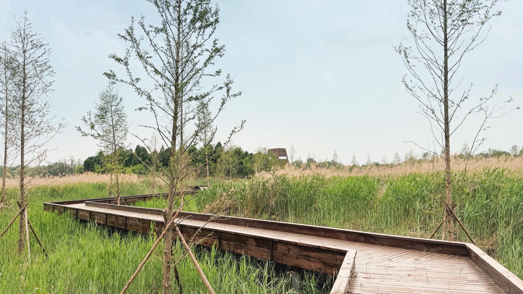 Reed Pavilion, Bird-watching Tower –Park service building series in ...