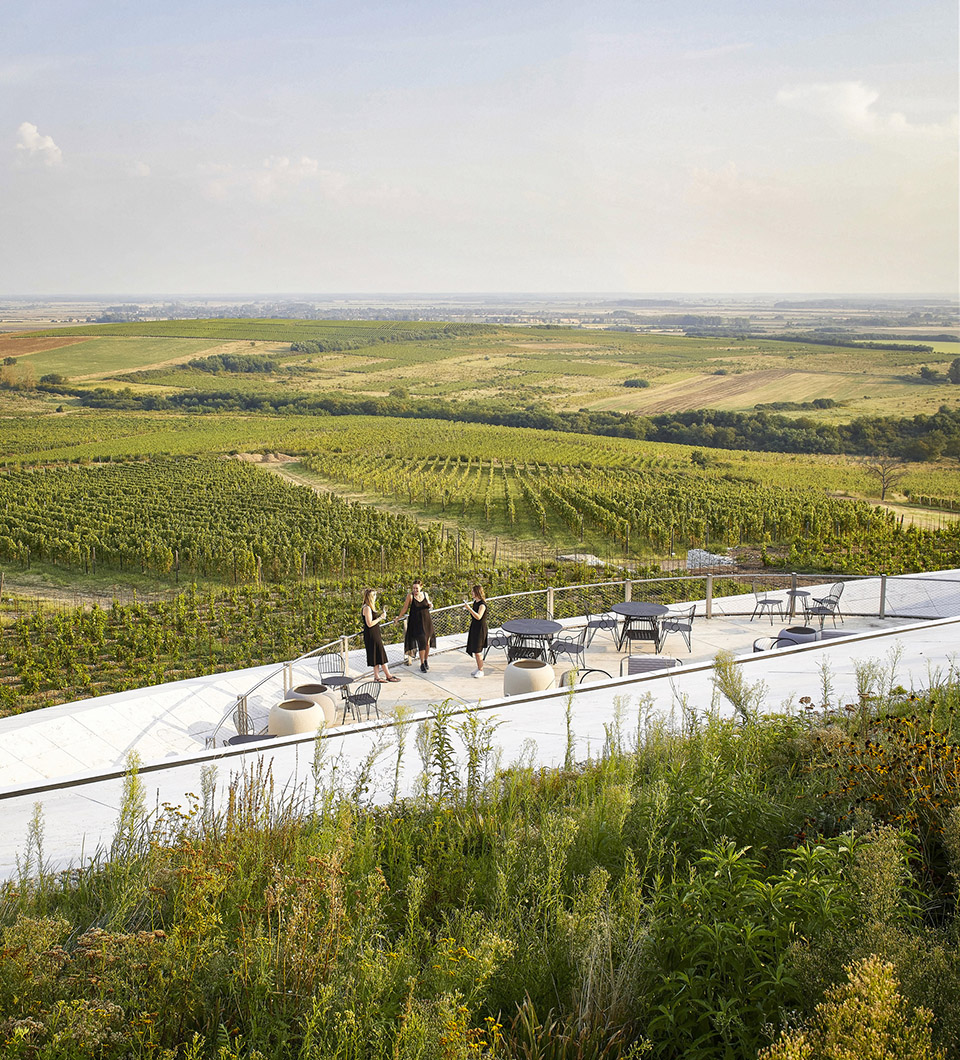 Sauska Tokaj Winery by BORD Architectural Studio - 谷德设计网