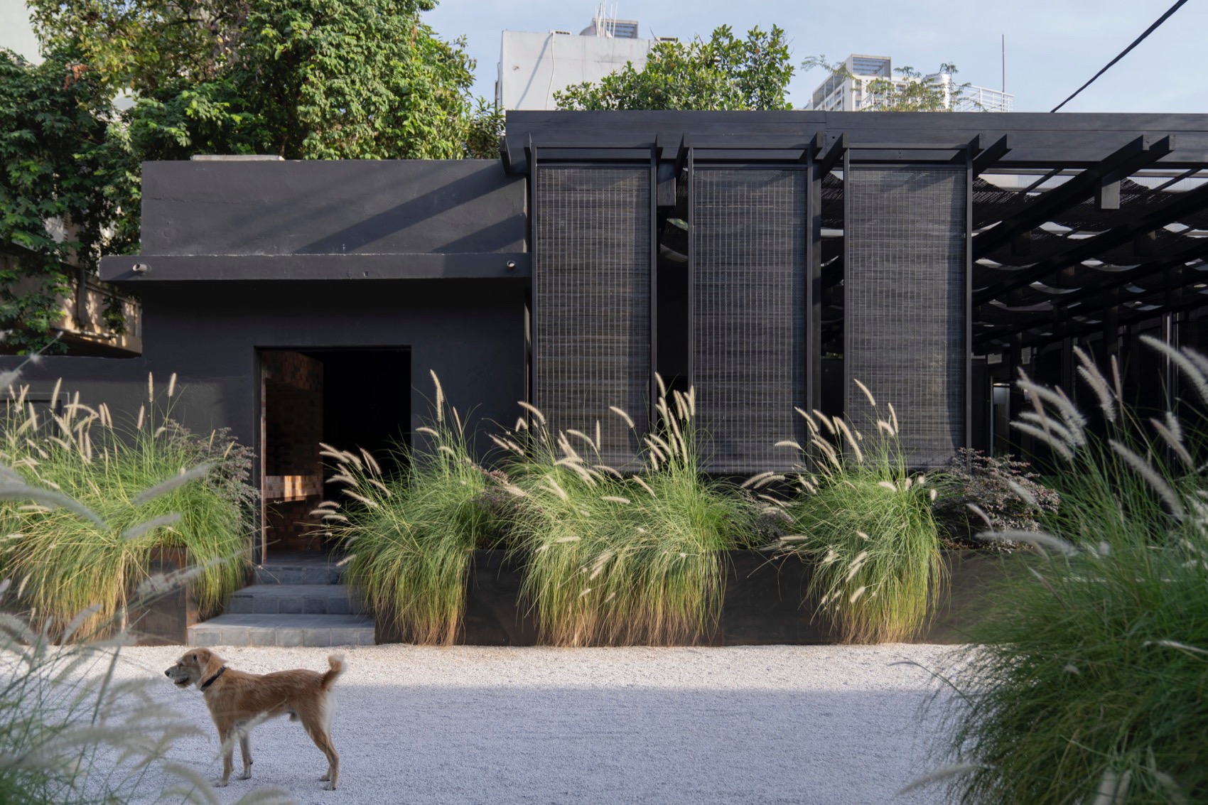 TDX Ice Factory by NU Architecture & Design - 谷德设计网
