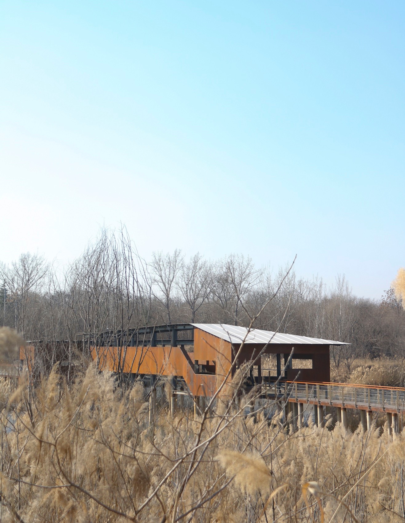 Reed Pavilion, Bird-watching Tower –Park service building series in ...