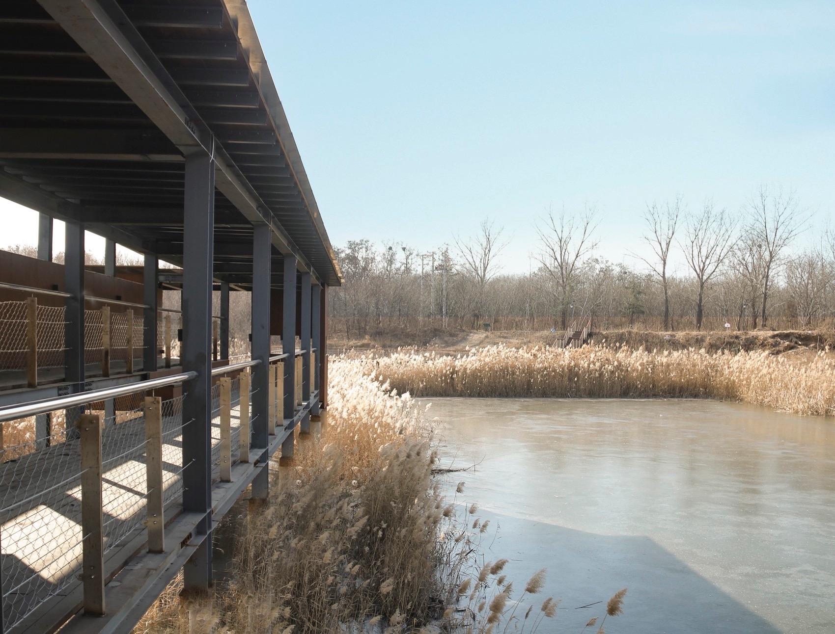 Reed Pavilion, Bird-watching Tower –Park service building series in ...