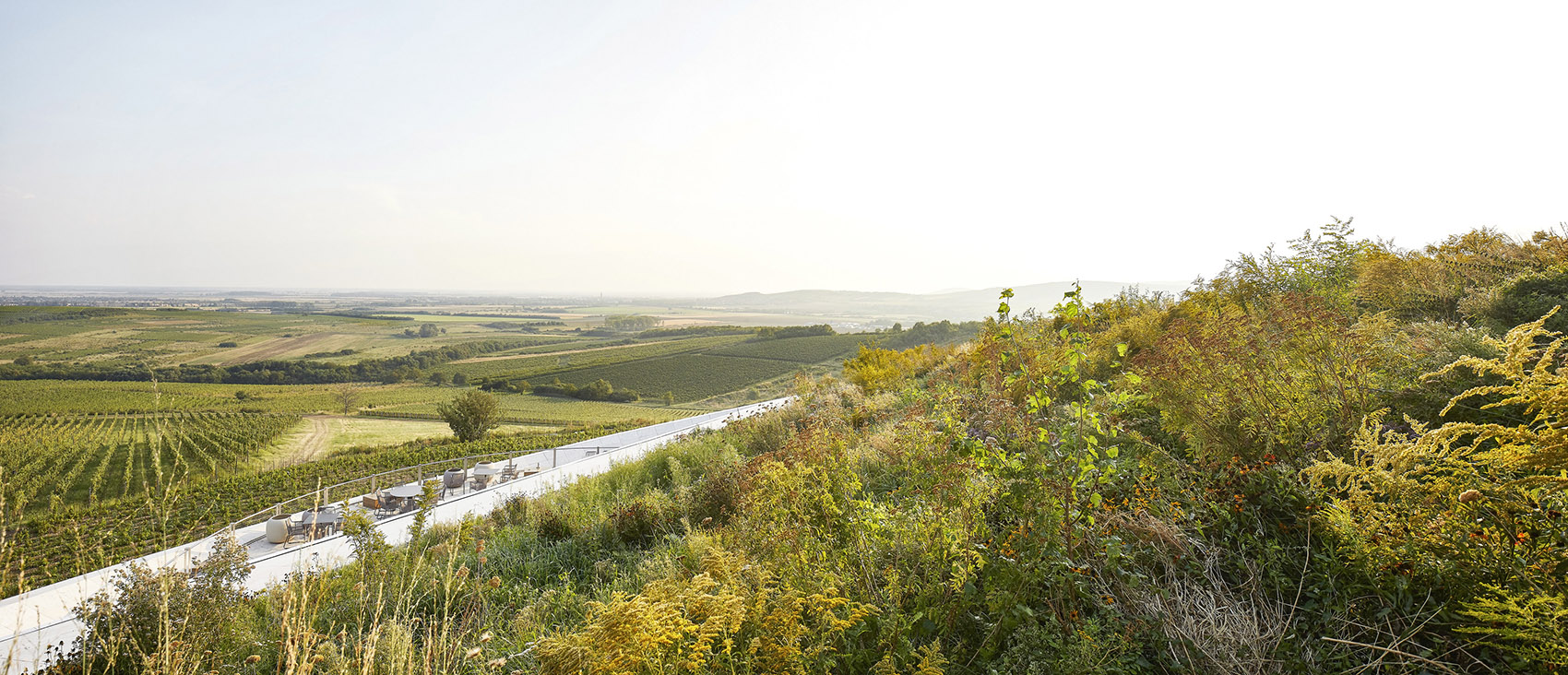 Sauska Tokaj Winery by BORD Architectural Studio - 谷德设计网