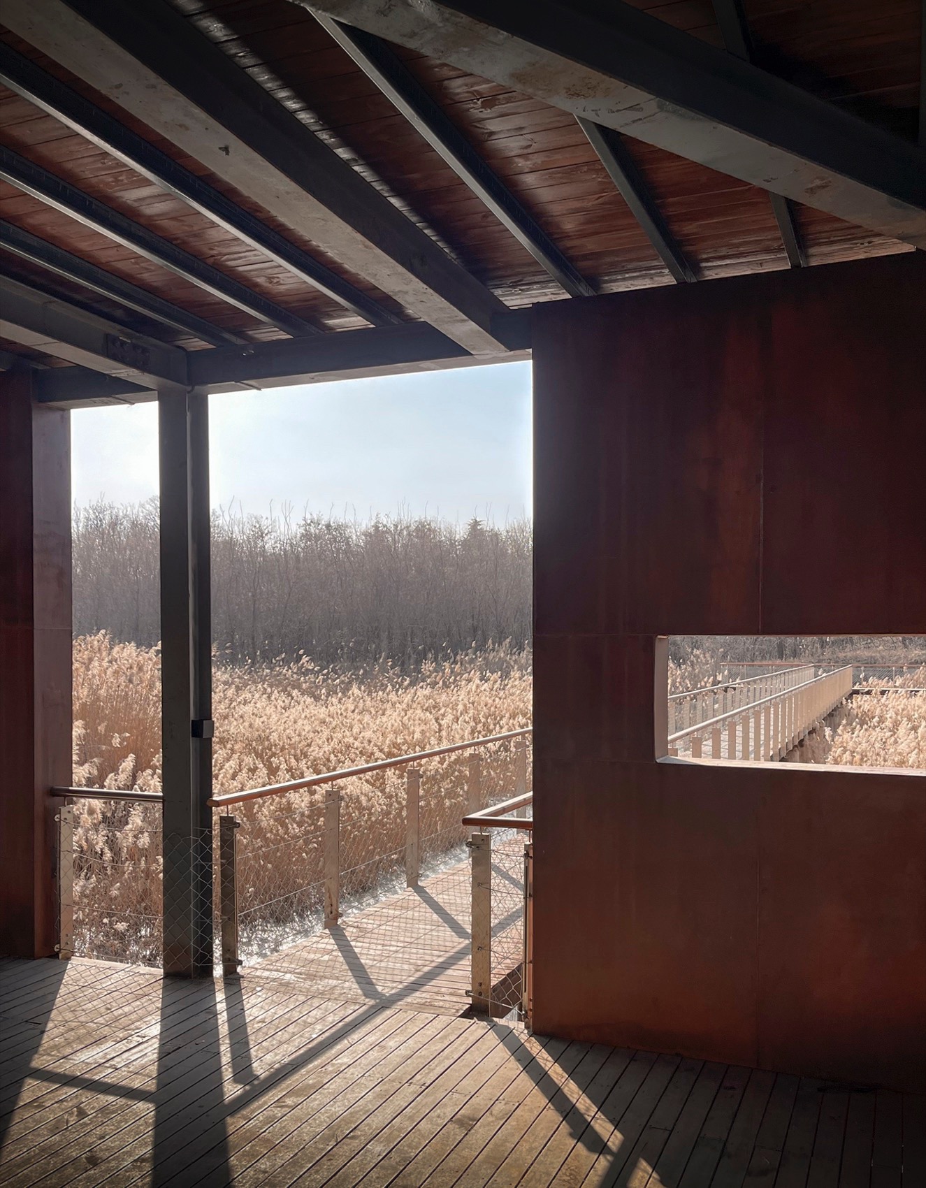 Reed Pavilion, Bird-watching Tower –Park service building series in ...