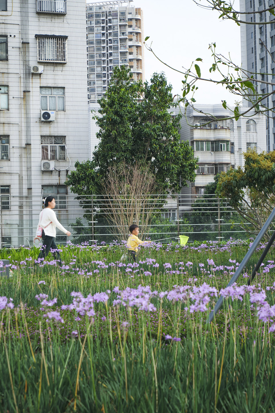 Yueqing Park by China Southwest Architectural Design and Research ...