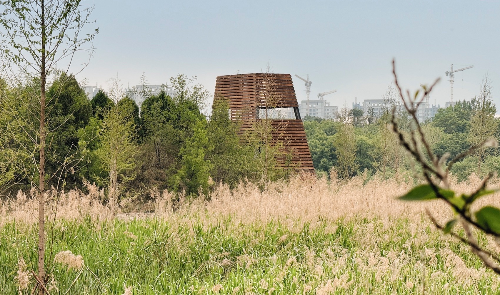 Reed Pavilion, Bird-watching Tower –Park service building series in ...