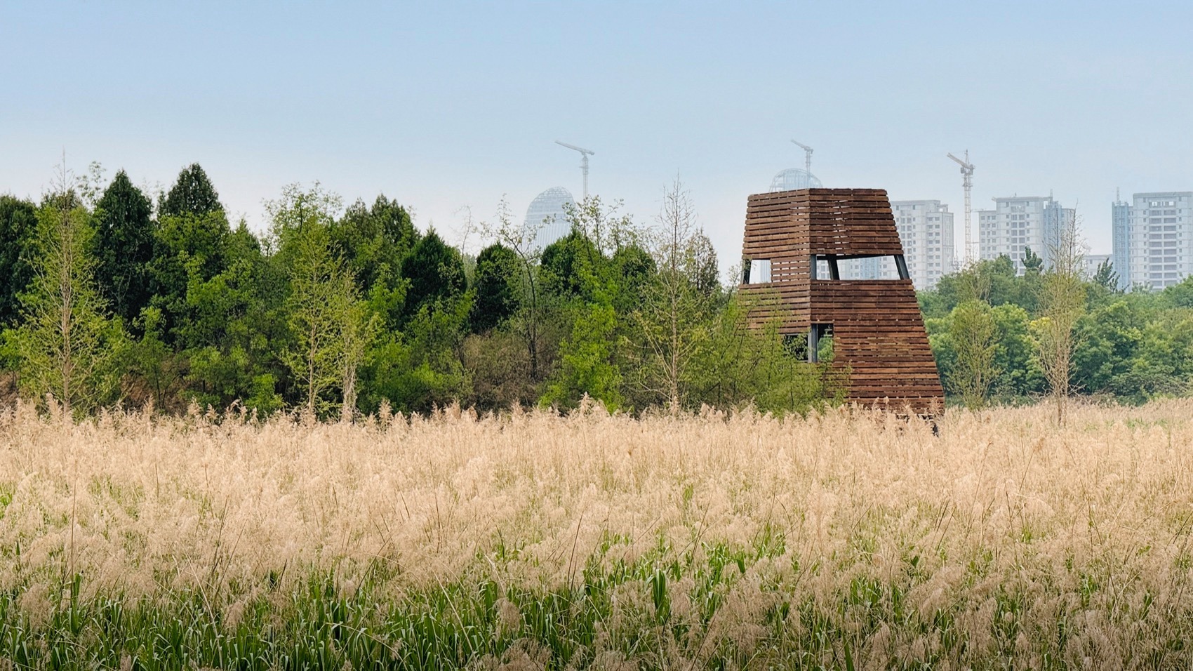 Reed Pavilion, Bird-watching Tower –Park service building series in ...