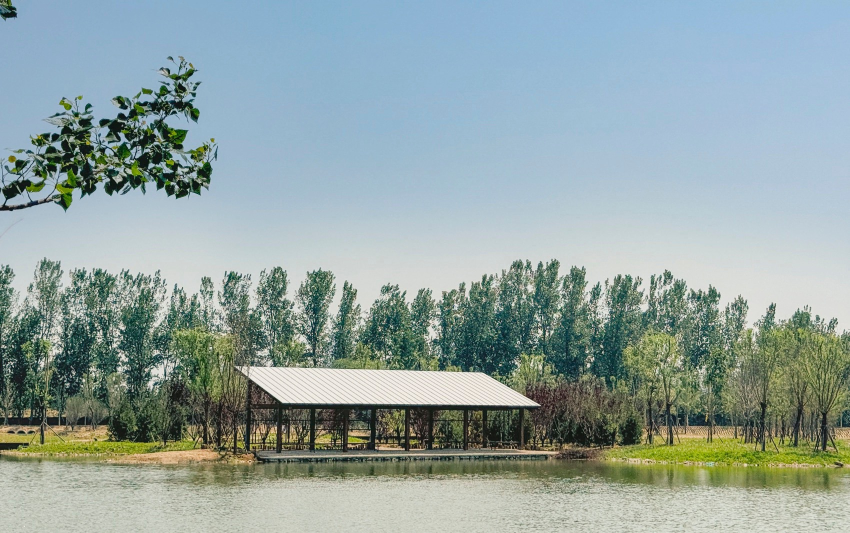 Reed Pavilion, Bird-watching Tower –Park service building series in ...