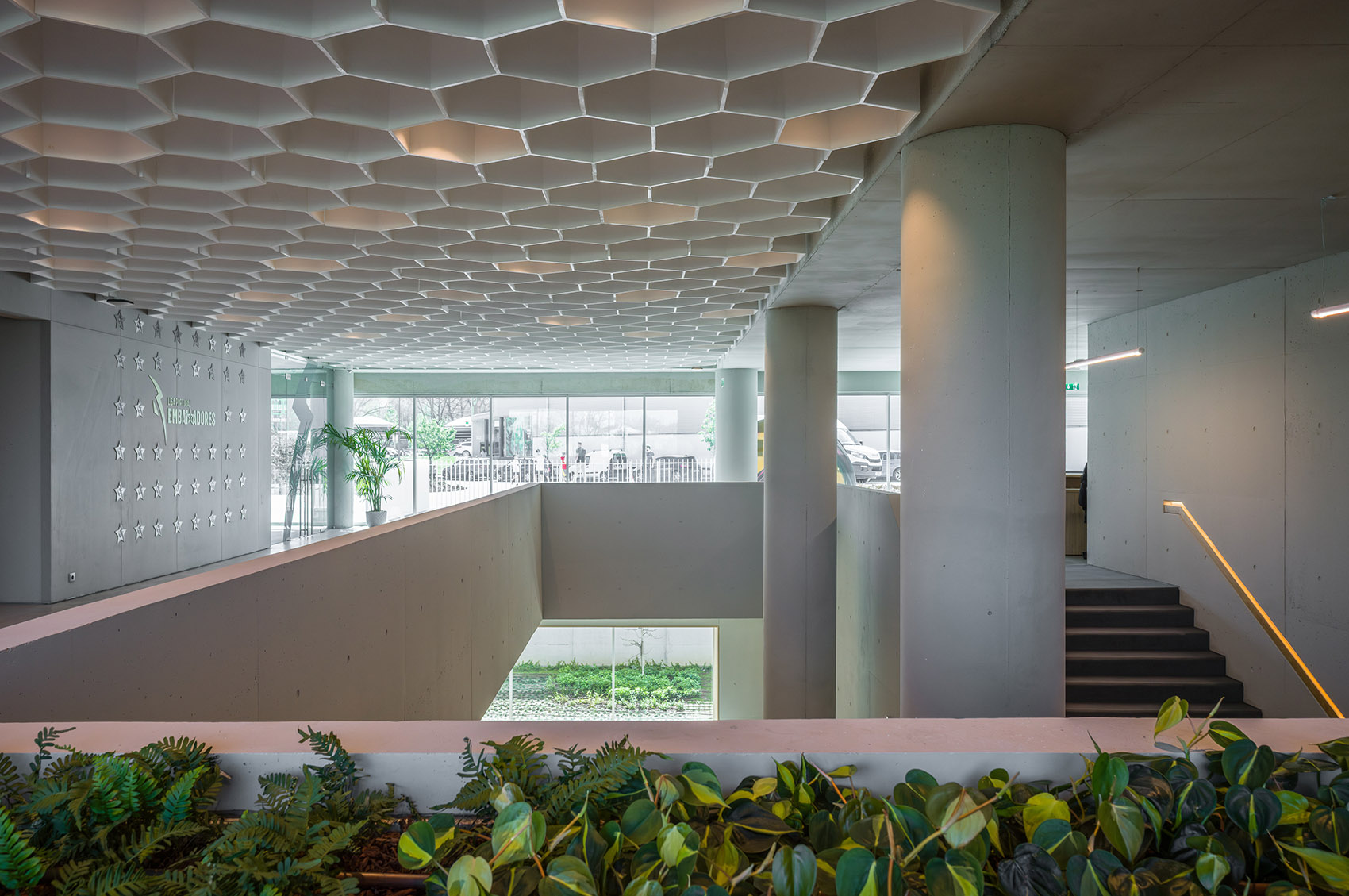 Arena Liga Portugal by OODA - 谷德设计网