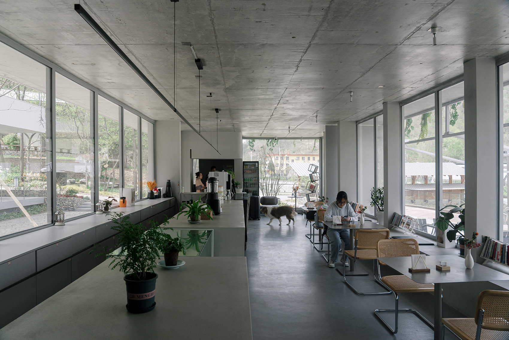 Traveling Through the Mountains: Beidou Mountain Homestay Cluster in ...