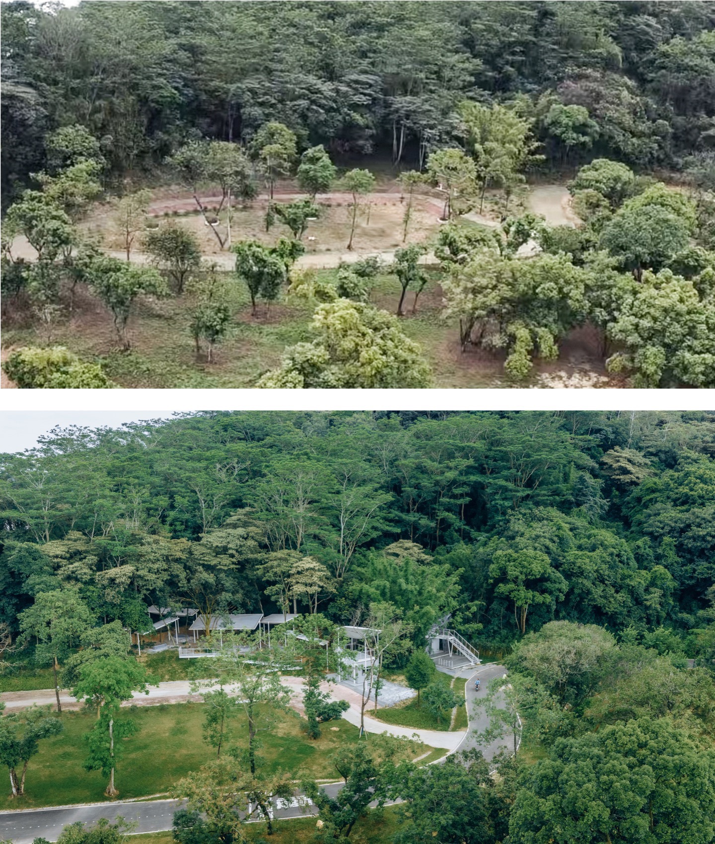Floating Canopy Grove by People’s Architecture Office - 谷德设计网