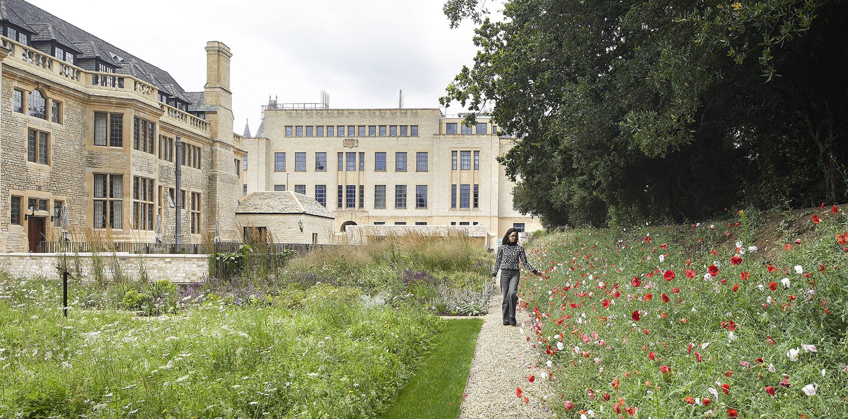 Rhodes House Oxford by Stanton Williams - 谷德设计网