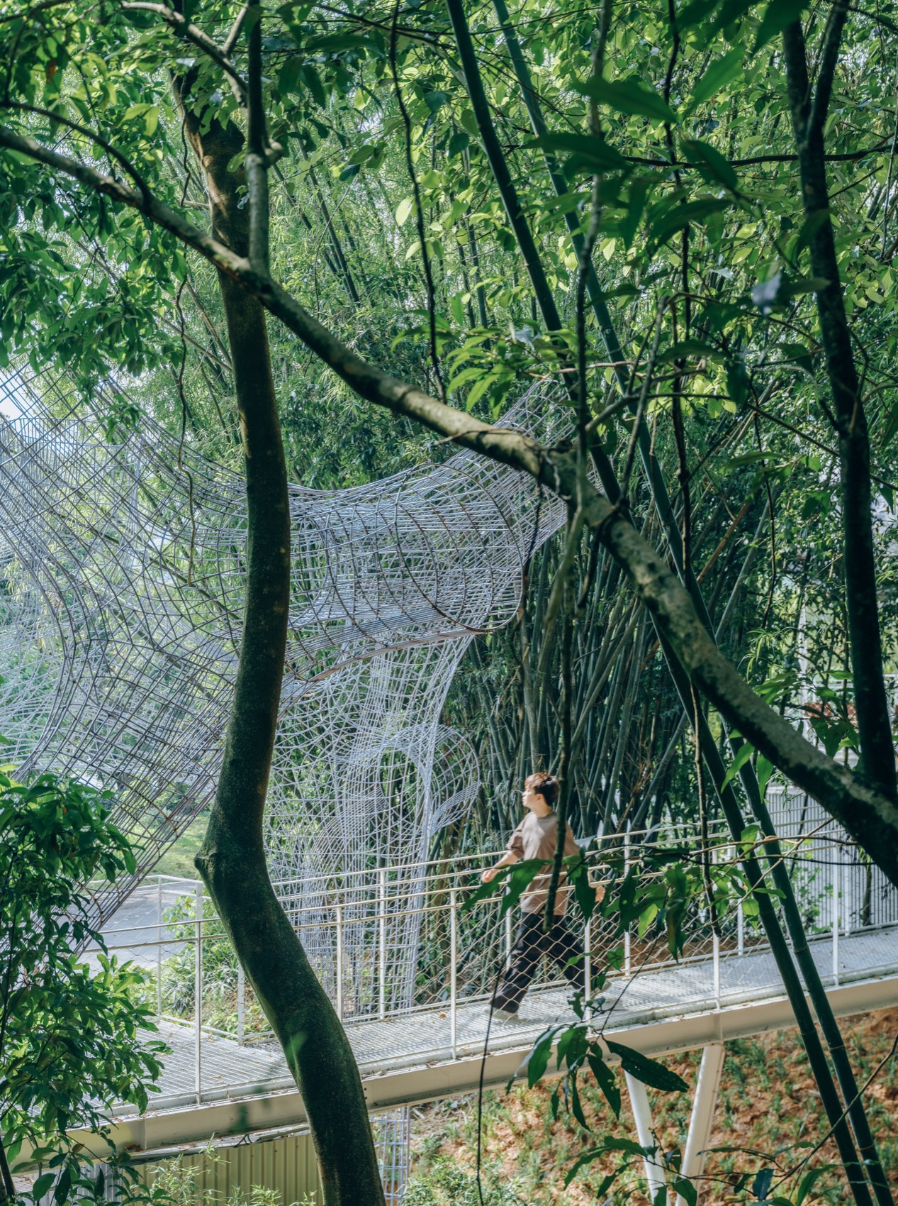 Floating Canopy Grove by People’s Architecture Office - 谷德设计网