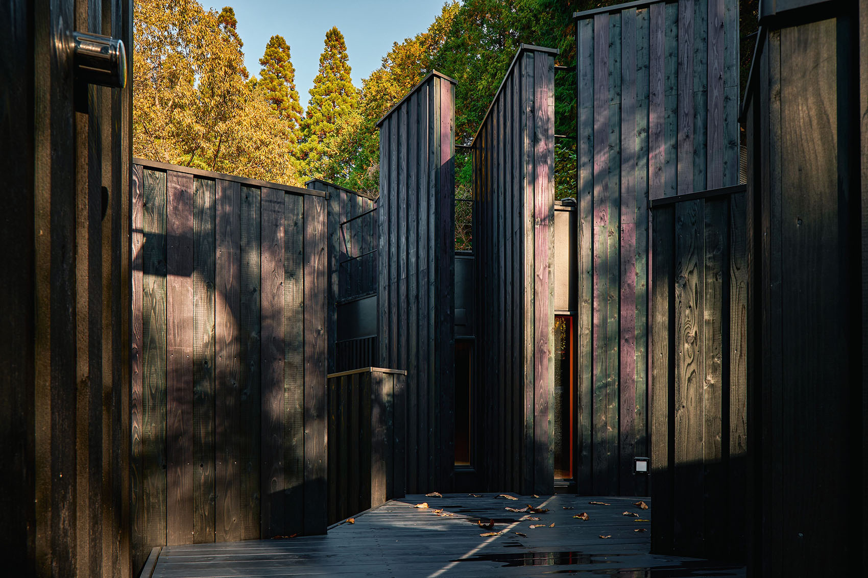 OND SAUNA by AMANE ARCHITECTS - 谷德设计网