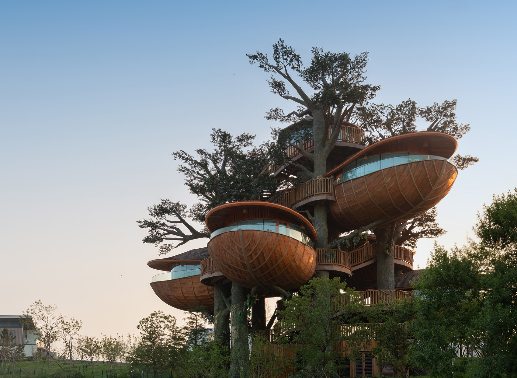 Forest Nests Treepod Project by Doarchi - 谷德设计网