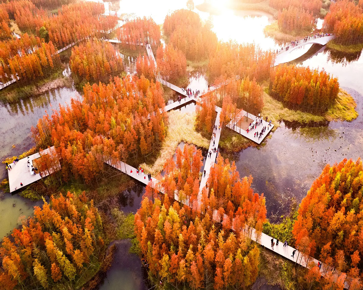 2025 ASLA GENERAL DESIGN AWARD OF EXCELLENCE: A Floating Forest: Fish ...